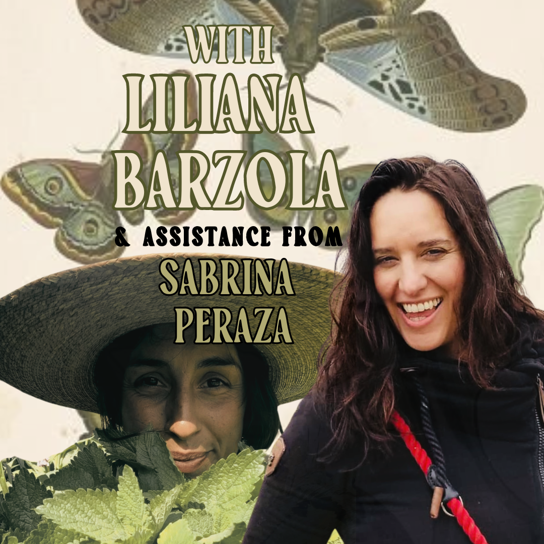 Home - Lotus Lantern Healing Arts